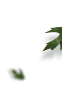 100 Years of Delicious Cottage Cheeses and Dairy Products | Brancourts